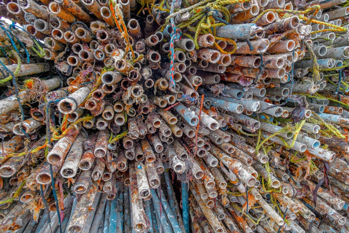 A Series of Tubes – This Week in Photo