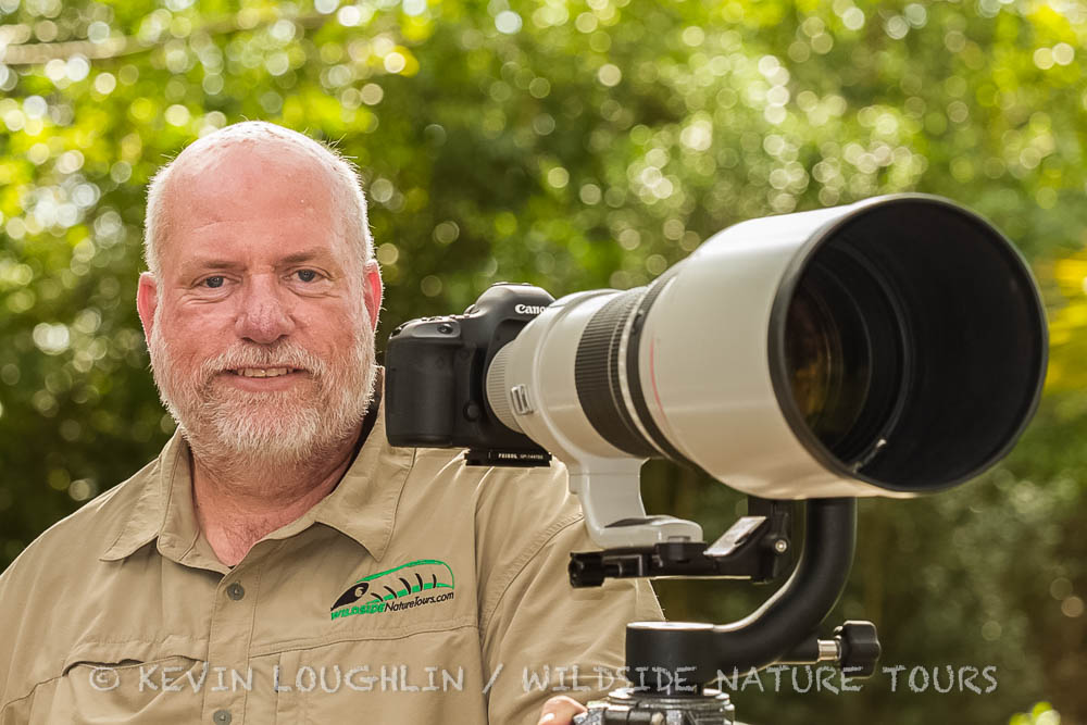 Your Itinerary 08: Wildlife around the World with Kevin Loughlin – This ...