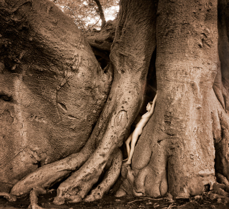 TWiP 500: Evolution – This Week in Photo (TWiP)