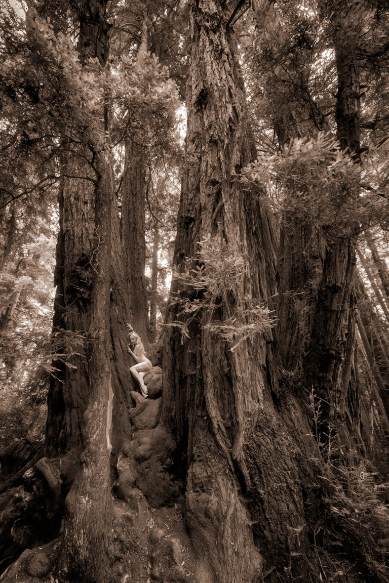 TWiP 500: Evolution – This Week in Photo (TWiP)