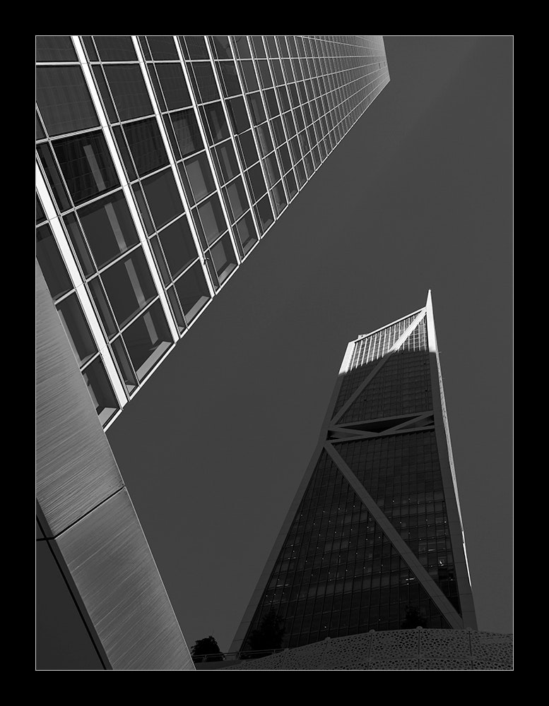 Stephen-Scharf – This Week in Photo