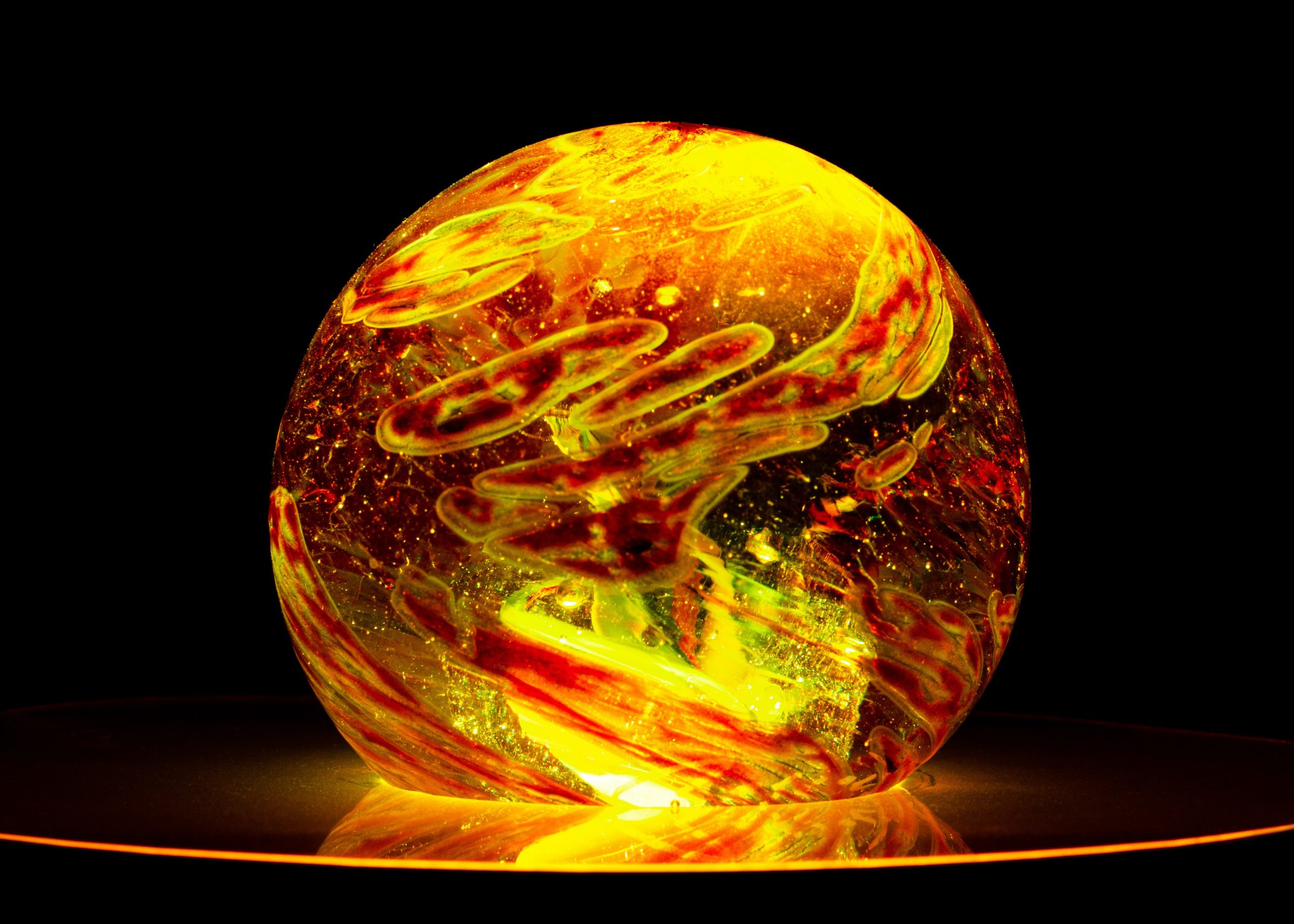 Raphael-TimberGeek-Swift-1 – This Week in Photo (TWiP)