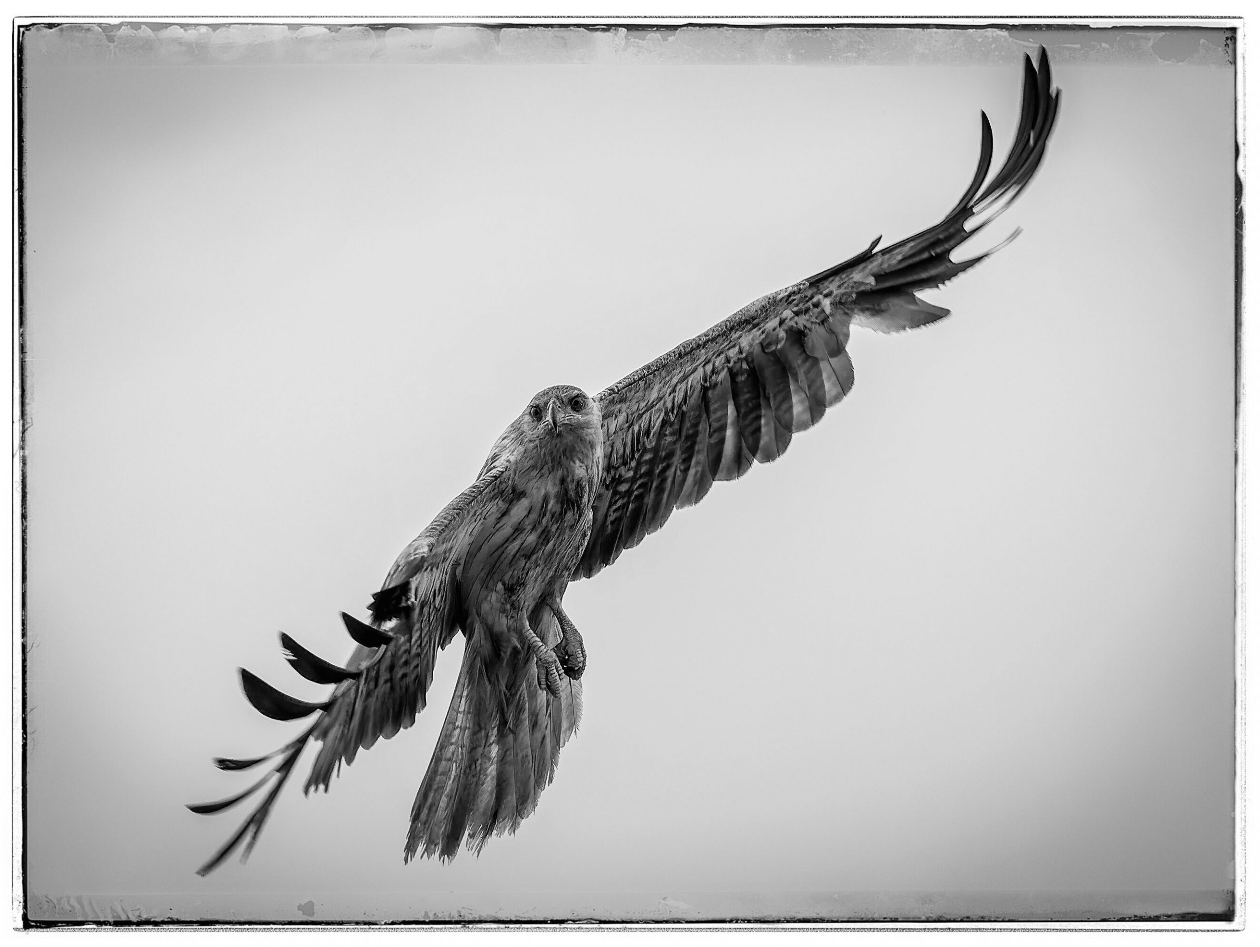 Craig_Stampfli – This Week in Photo (TWiP)