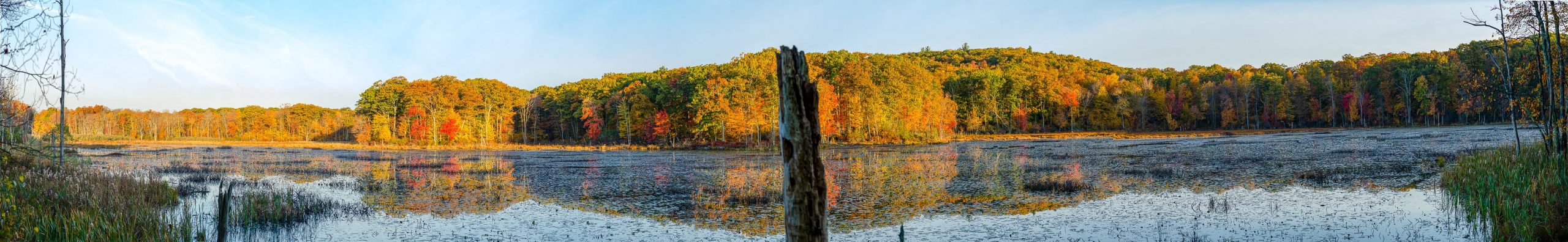 Photo Critique 208 – IMAGE STITCHING – TWiP – This Week in Photo